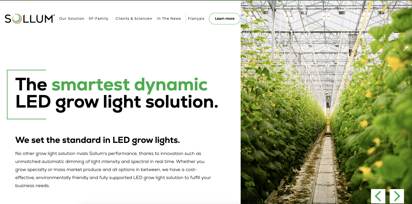 The best LED grow light solution for greenhouses | Sollum Technologies